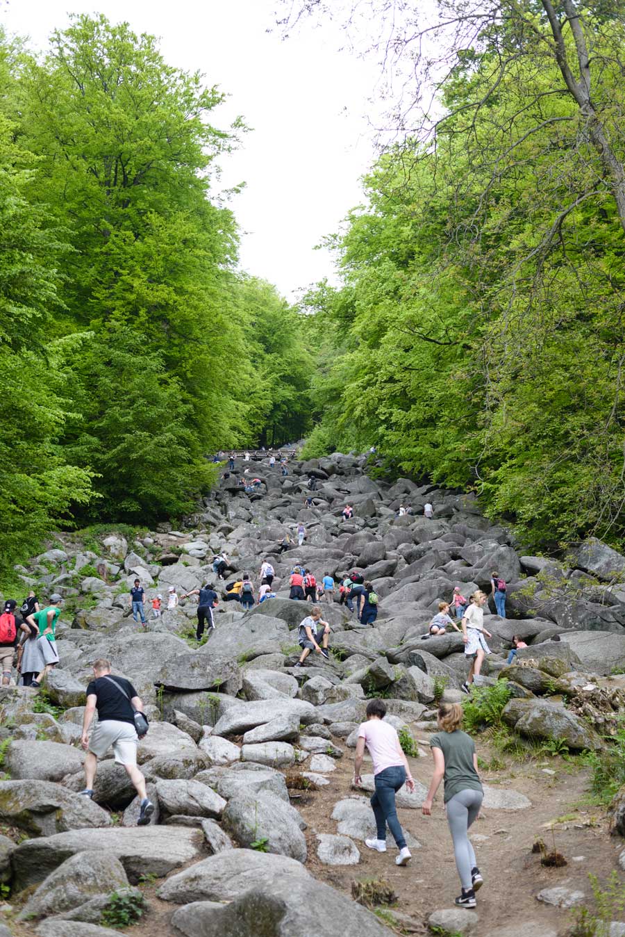 Felsenmeer Lautertal – Wunder der Natur